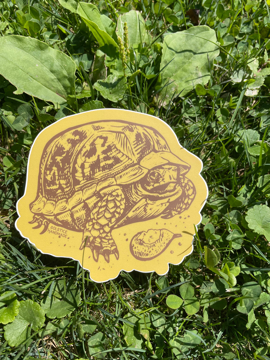 Box Turtle Sticker – Burning Books